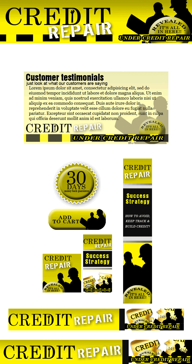 Credit Repair PLR Website Template Landing Page Private Label Rights